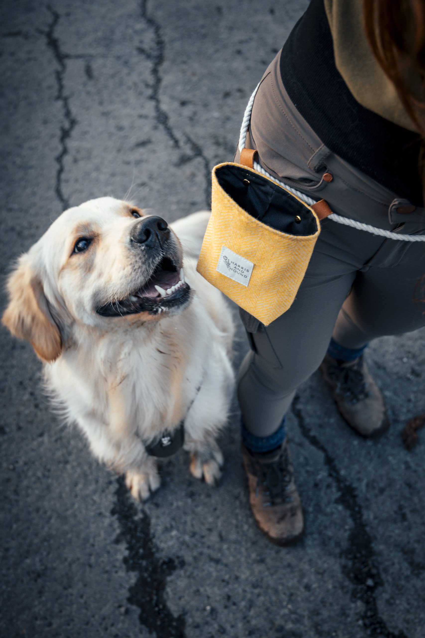 About Us – Harris and Hound
